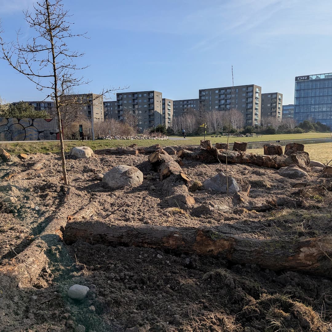 Nyt landhabitat til padder på Grønningen • Biodiversitetstiltag i Ørestad